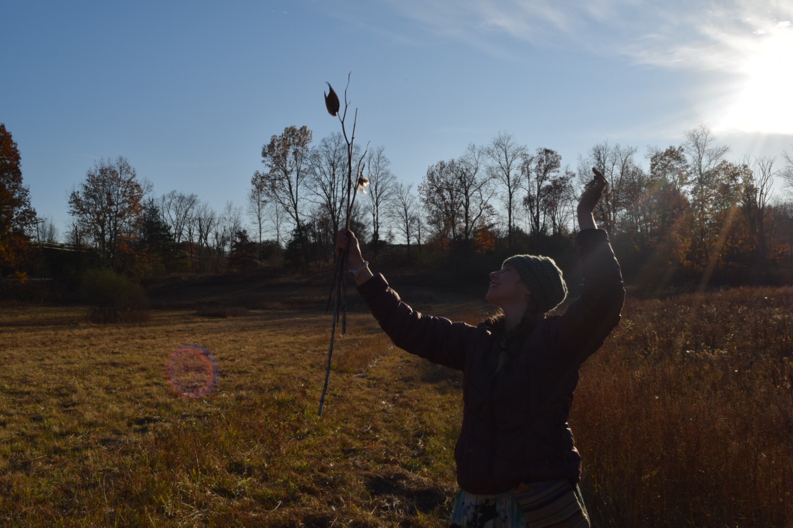 A Month in the Life of a Basket Maker - The November Dogbane Harvest